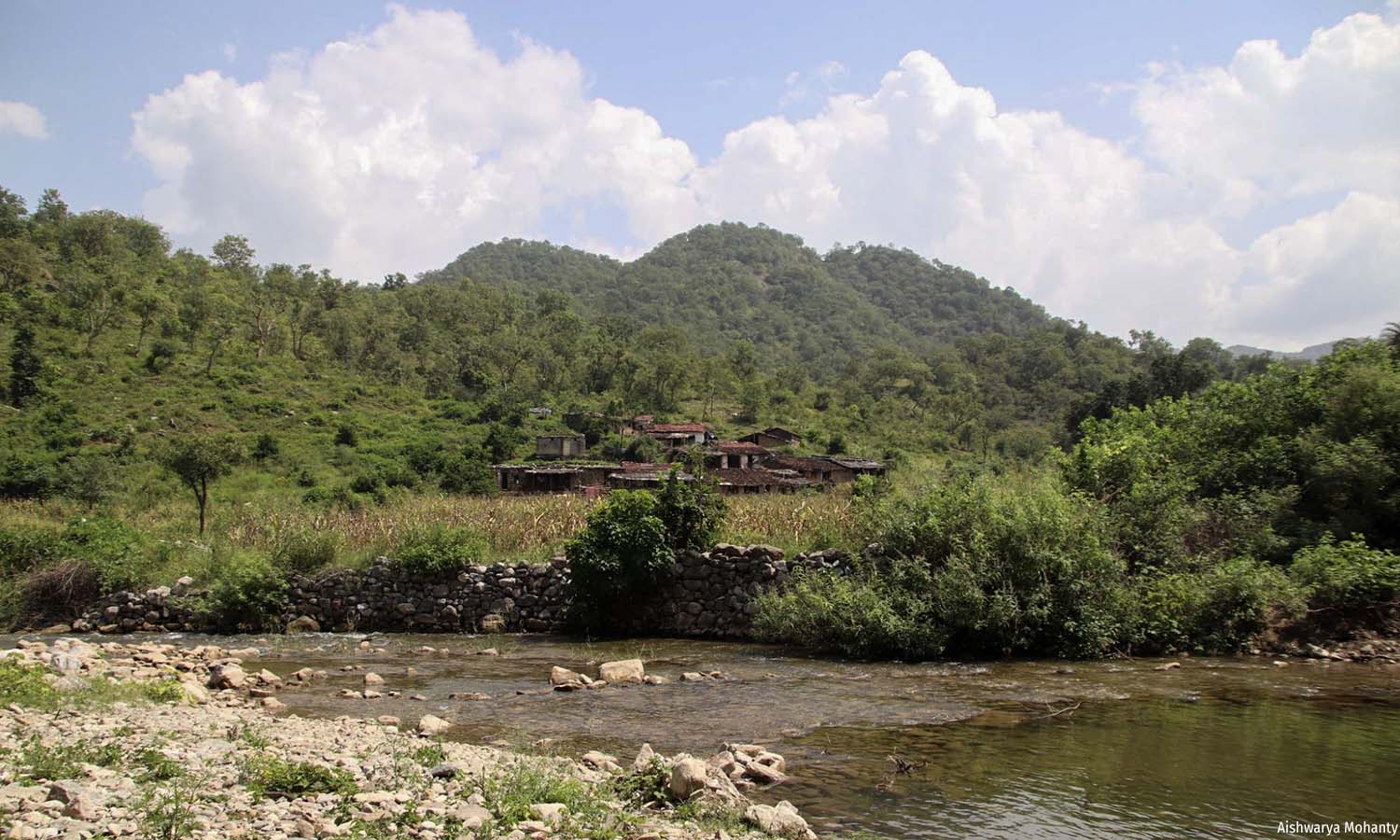 How A New Tiger Reserve In Rajasthan Is Causing Fear Of Displacement