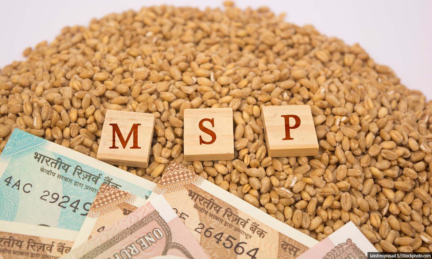 MSP Guarantee Alone Will Not Improve Farm Incomes