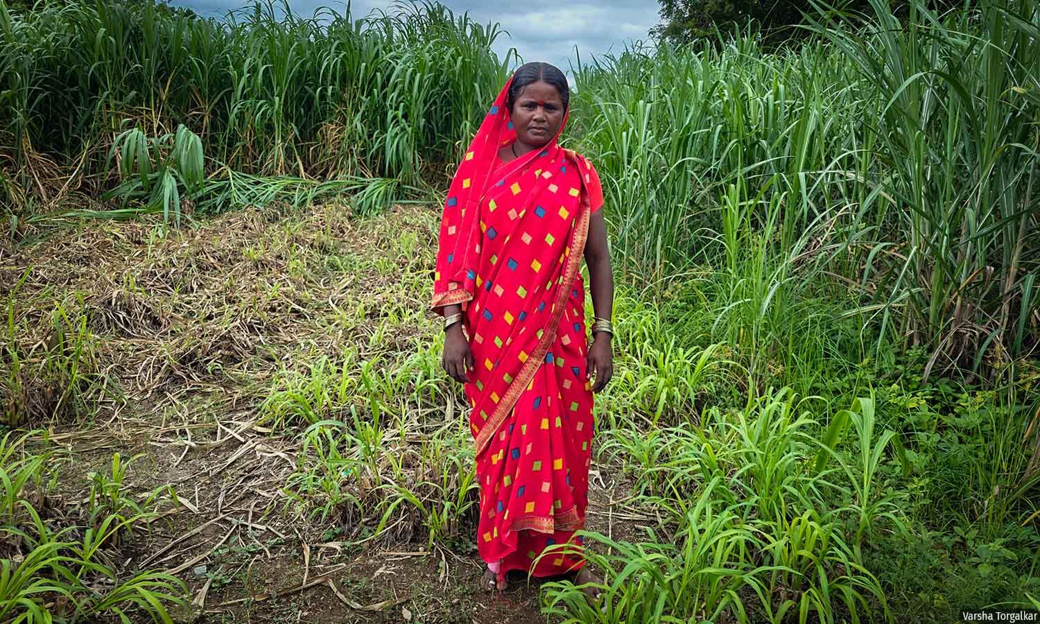 Why Marathwada’s Farm Workers Are Migrating Even In Summer