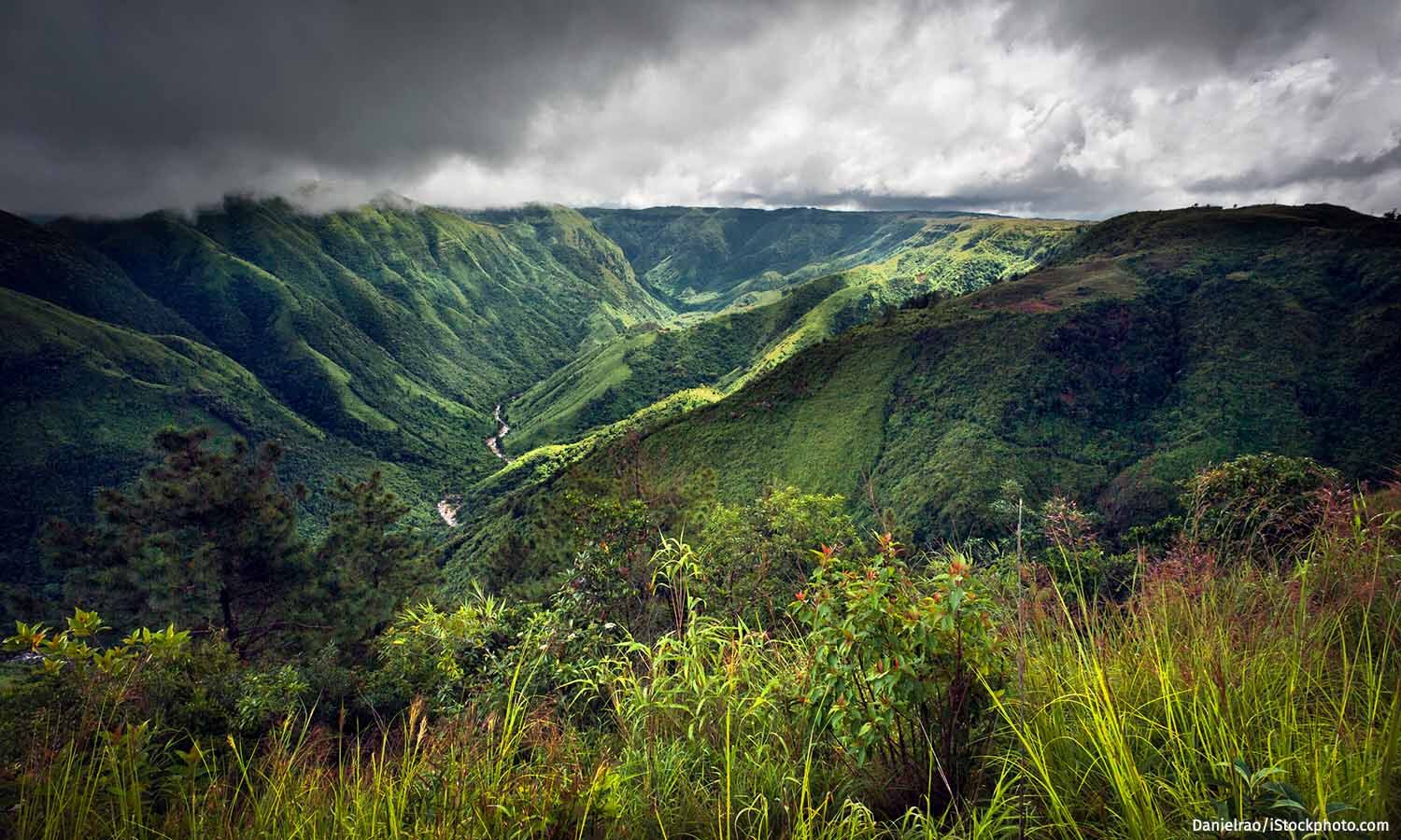 The Shrinking Forests In India’s Green Frontier