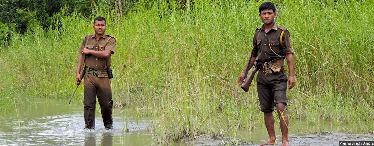 Why India Is The World's Deadliest Country For Forest Rangers