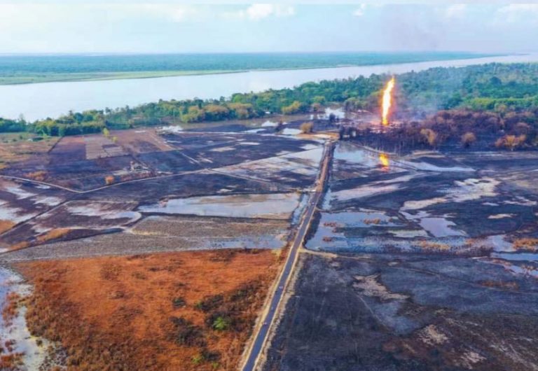 Assam Oilfield Fire: Wildlife Institute Wants Review of Eco Clearances ...